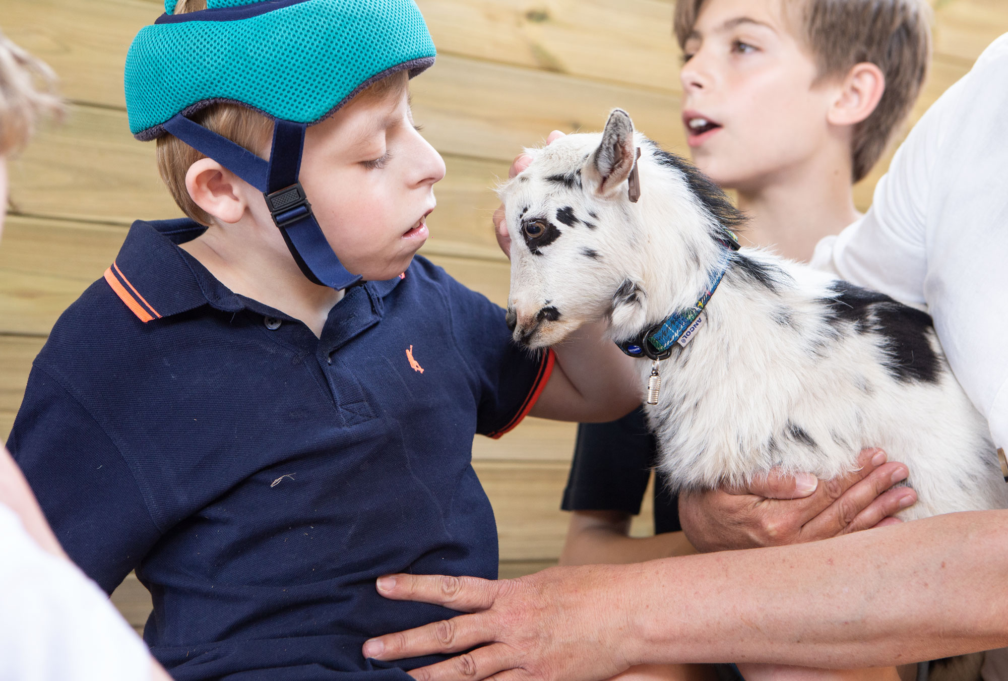 Attractions at Quex Park, Birchington, Kent on the South East Coast