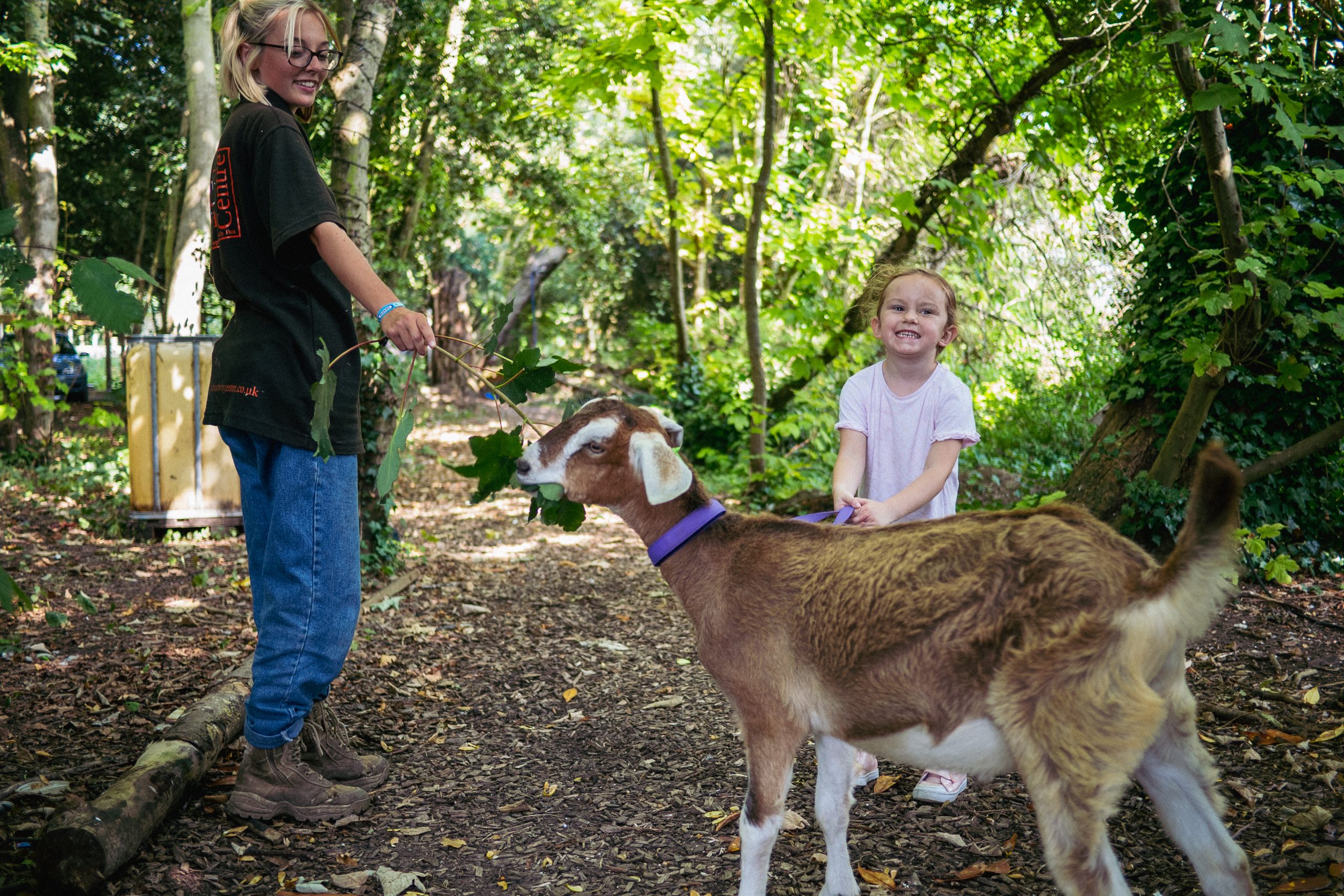 VIP Goat Experience - Quex Park