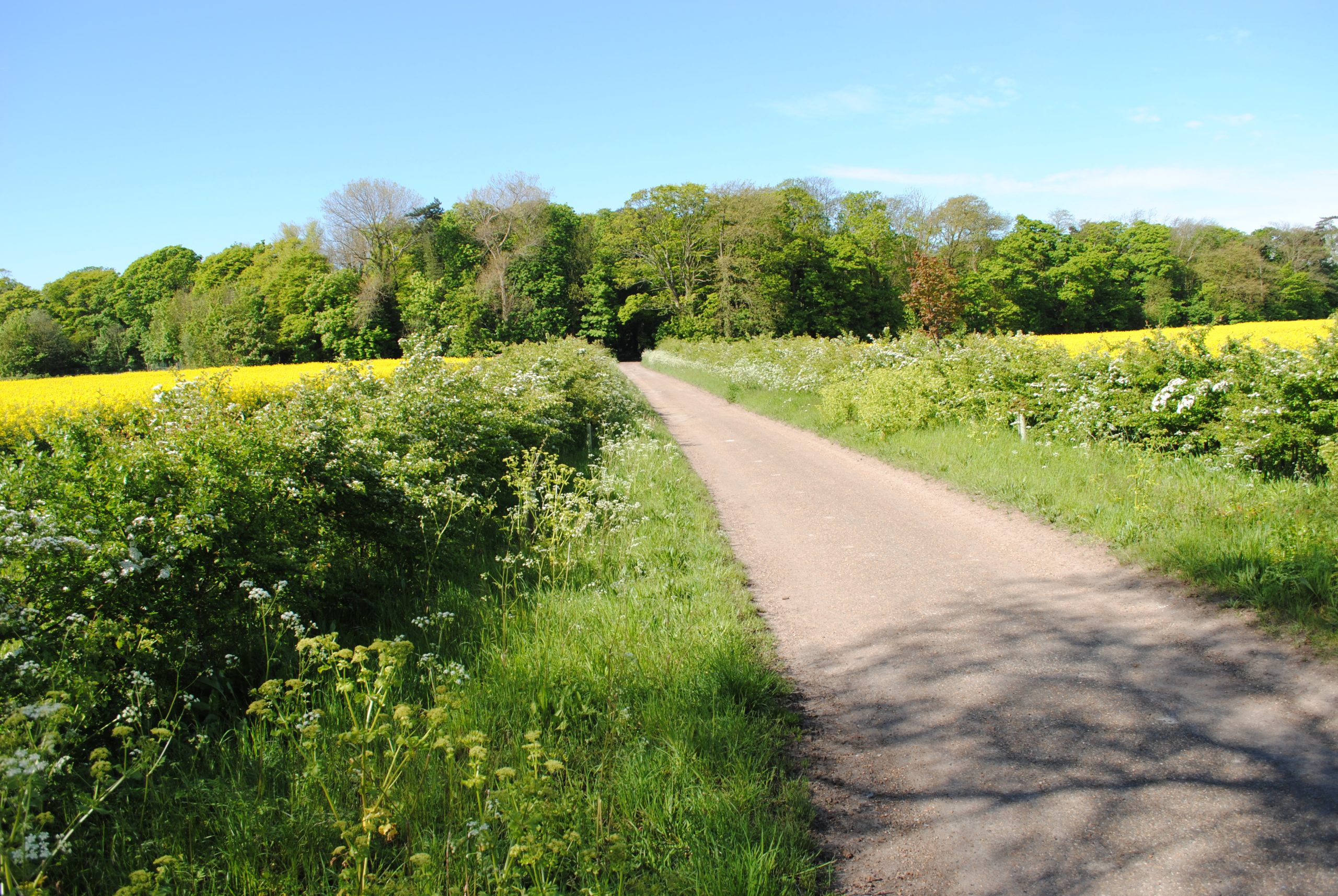 The Benefit of Field Margins - Quex Park