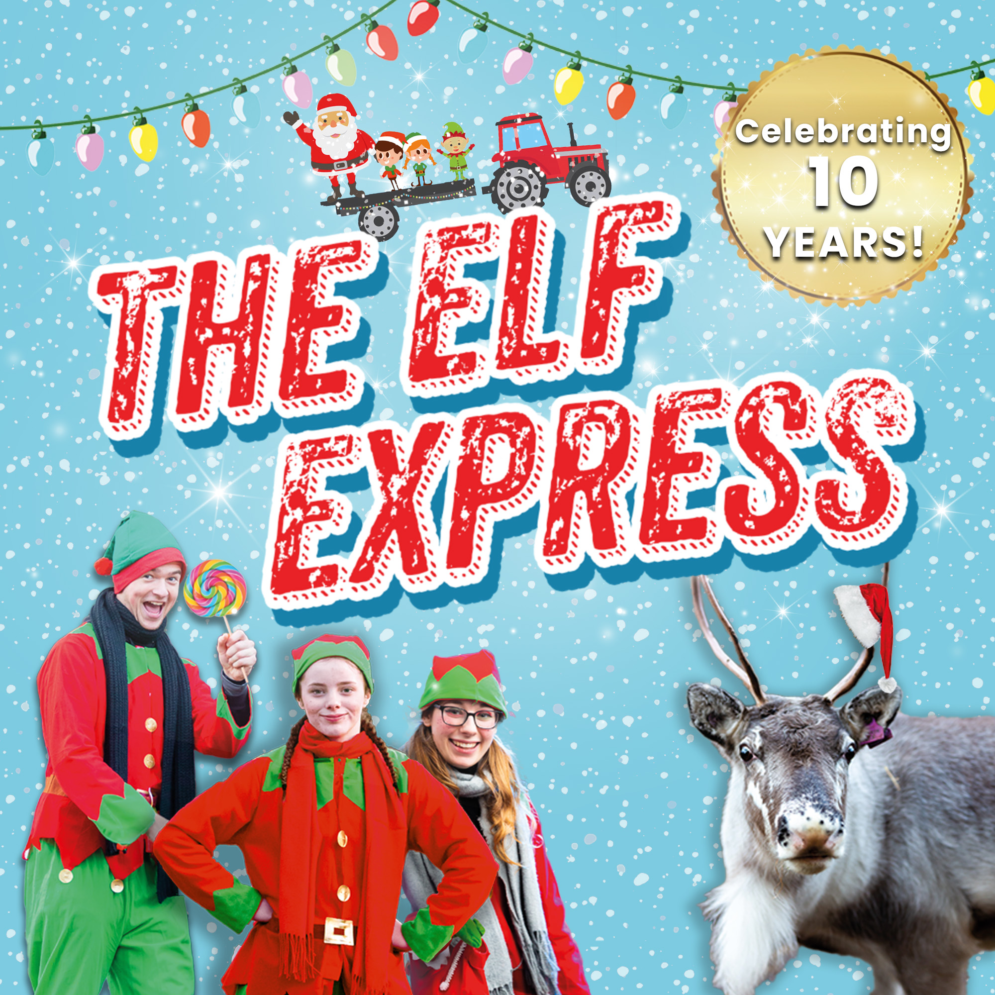 The Elf Express - Quex Park